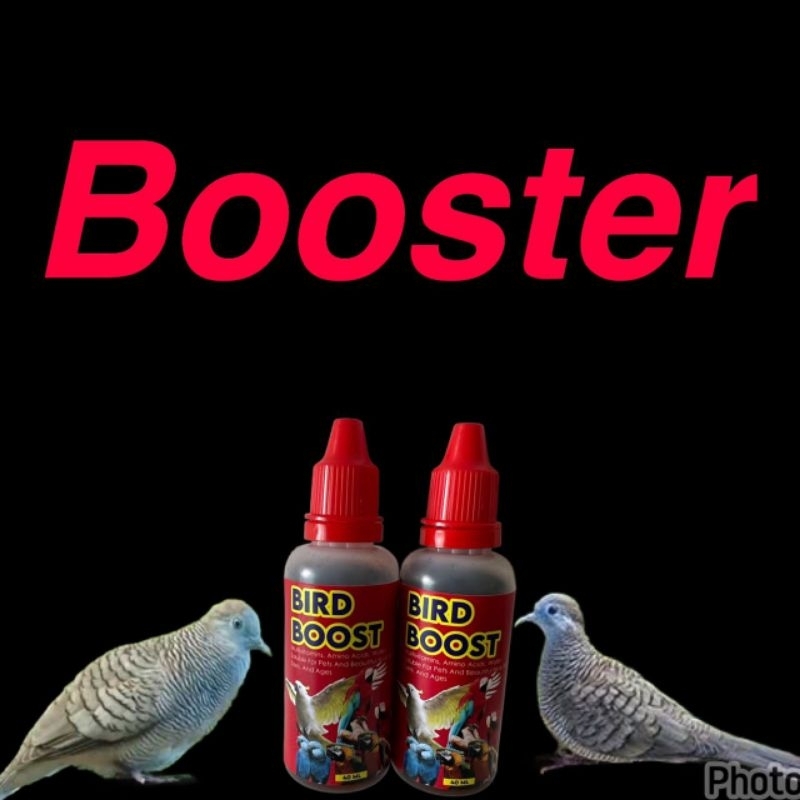 Original Bird Booster 40ML | Shopee Malaysia