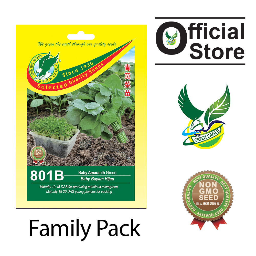 GE 801B Baby Amaranth Green [10g] | Shopee Malaysia