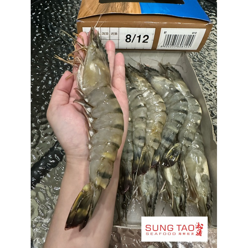 Tiger Prawn 8/12pcs (1kg) 老虎虾 Sung Tao Frozen Seafood Udang Harimau ...
