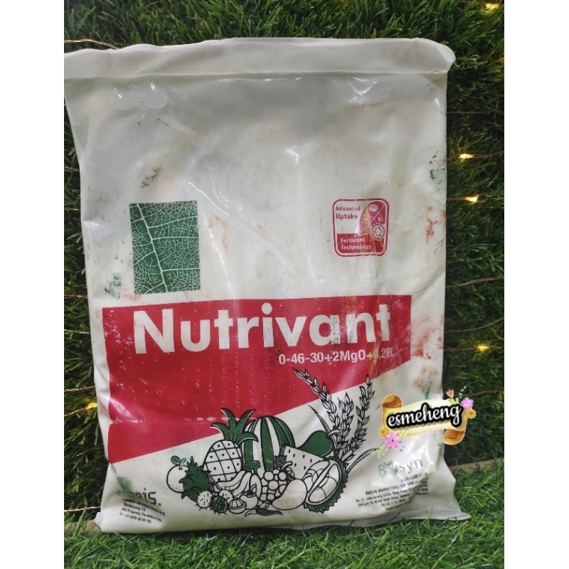 Nutrivant 1kg (0-46-30+2Mg0+0,2B) | Shopee Malaysia