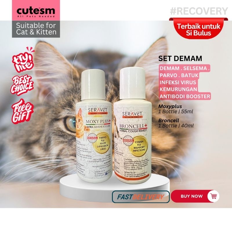 CAT & KITTEN 𝐔𝐁𝐀𝐓 𝐃𝐄𝐌𝐀𝐌 𝐒𝐄𝐋𝐒𝐄𝐌𝐀 𝐊𝐔𝐂𝐈𝐍𝐆, Batuk, Parvo & Antibodi Kucing ...