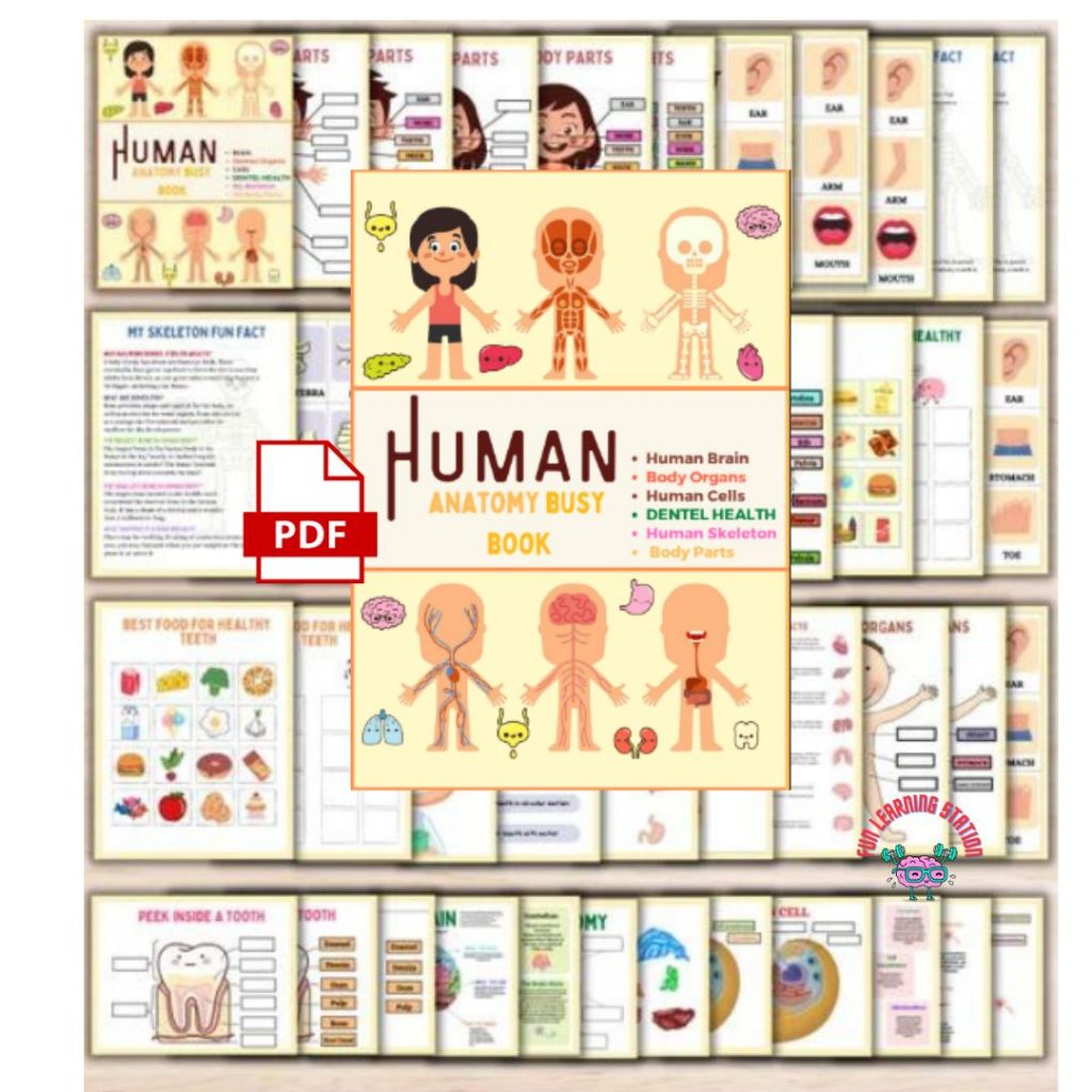 508 [PDF] Human Body Parts Anatomy Busy book I Kids learning binder I ...
