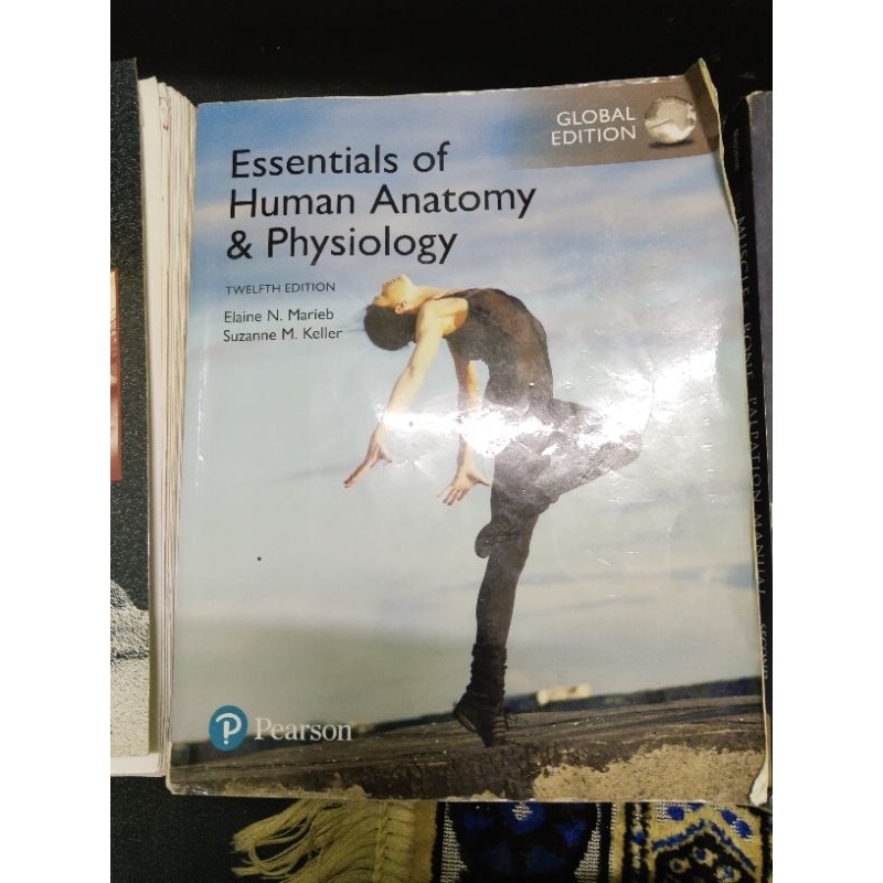 Essential of Human Anatomy & Physiology | Shopee Malaysia