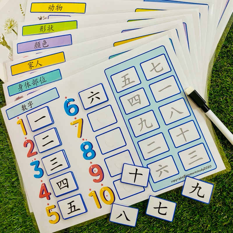 110 Chinese Literacy Book·华文识字黏贴卡】华文版 Chinese｜10大主题｜Busy Book｜Literacy ...