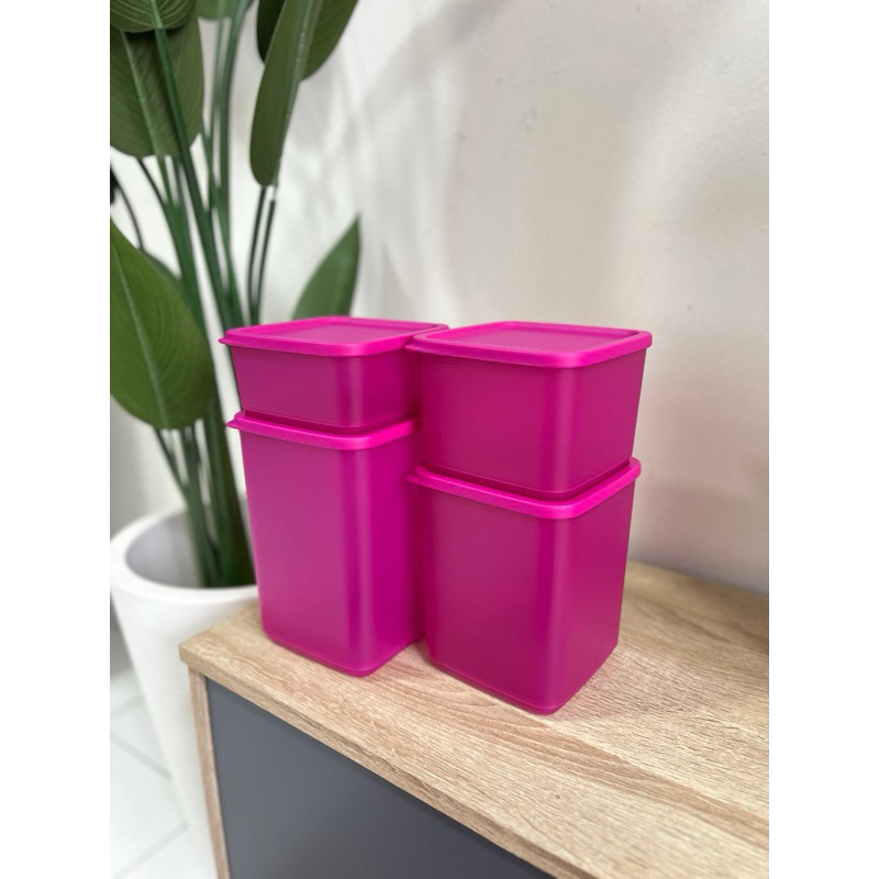 READY STOCK Tupperware Snowflake Square Round Set So Fresh Egg Storer ...