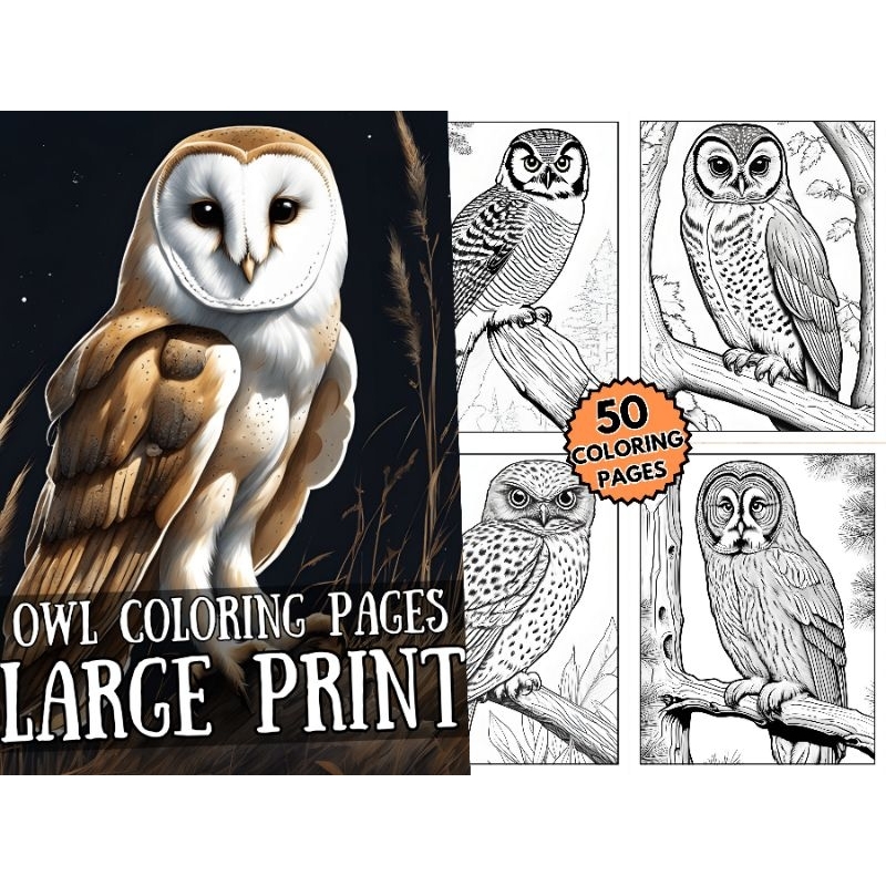 Owl Coloring Pages Large Print - Coloring Book for Adults and Kids - 50 ...