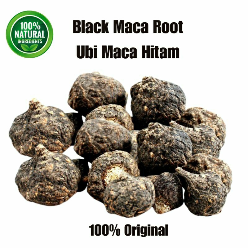 Ubi Maca Hitam 100 gram (Bentuk Biji)/ Black Maca Root (whole root ...