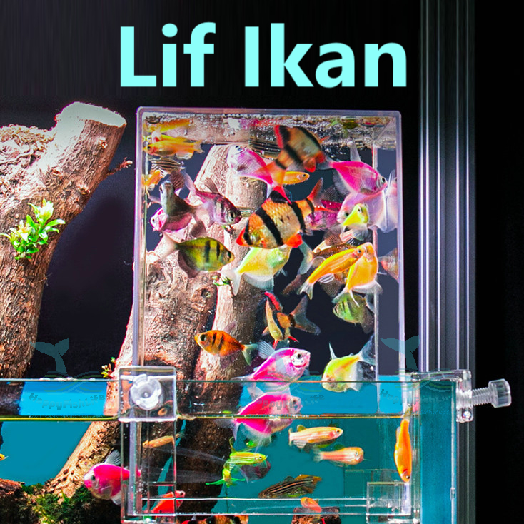 Negative Pressure Fish Elevator Tank 鱼缸负压缸 Akuarium Lif Ikan Tank ...