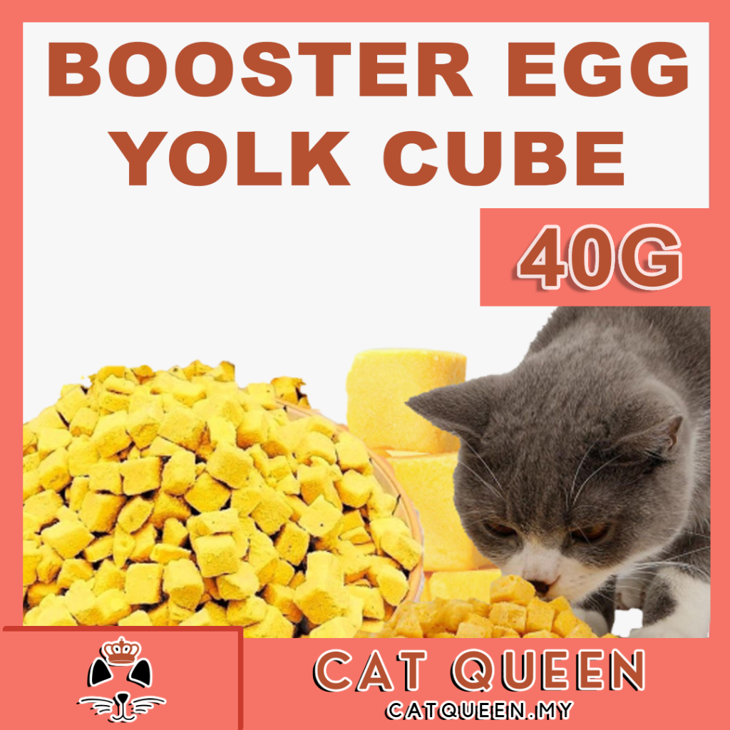 Booster Egg Yolk Cube [High Protein] 1KG / 40g | Shopee Malaysia