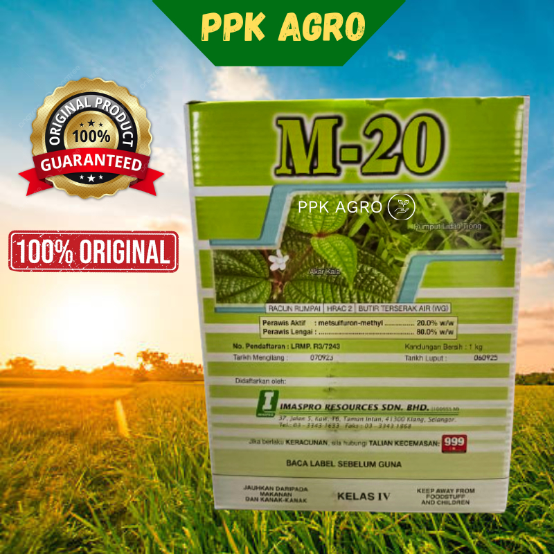 1KG M-20 Imaspro Ally/ Paku Pakis RACUN RUMPAI Anak Pokok ANAK KAYU ...