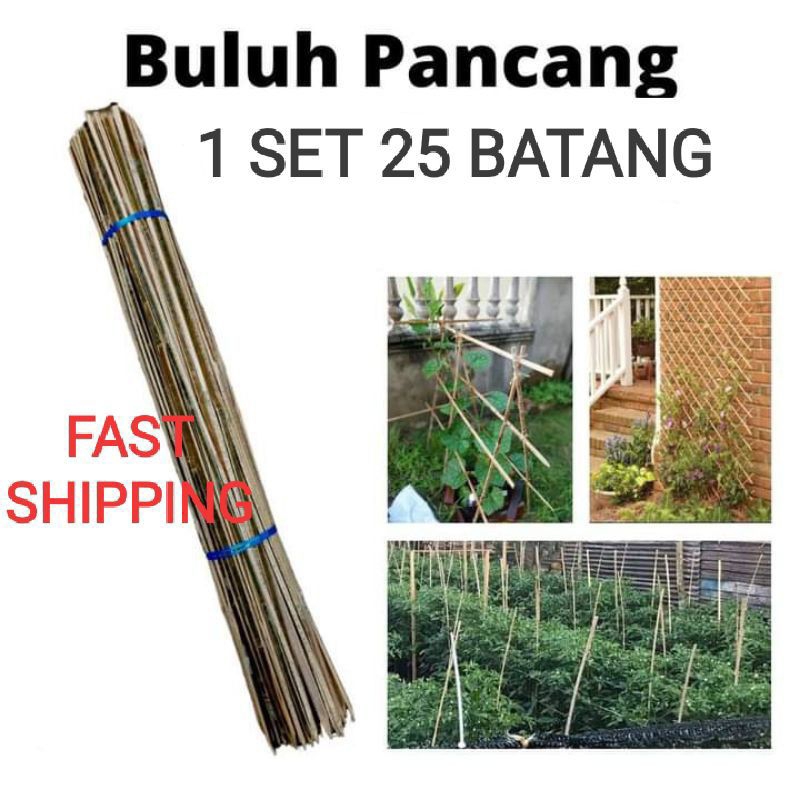 BULUH PANCANG POKOK 150CM / BAMBOO PLANTS STAKES | Shopee Malaysia