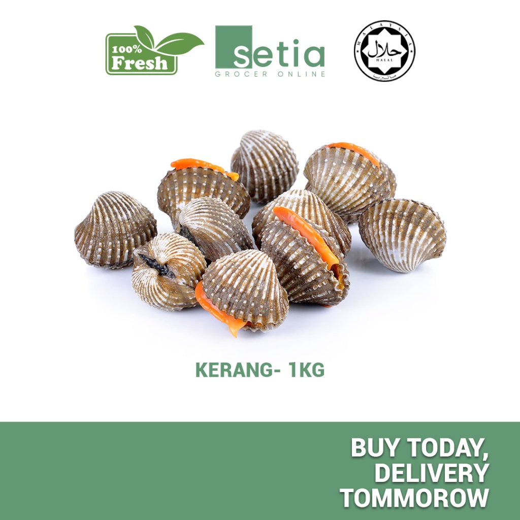 Kerang Segar Sepeket – 1kg | Shopee Malaysia