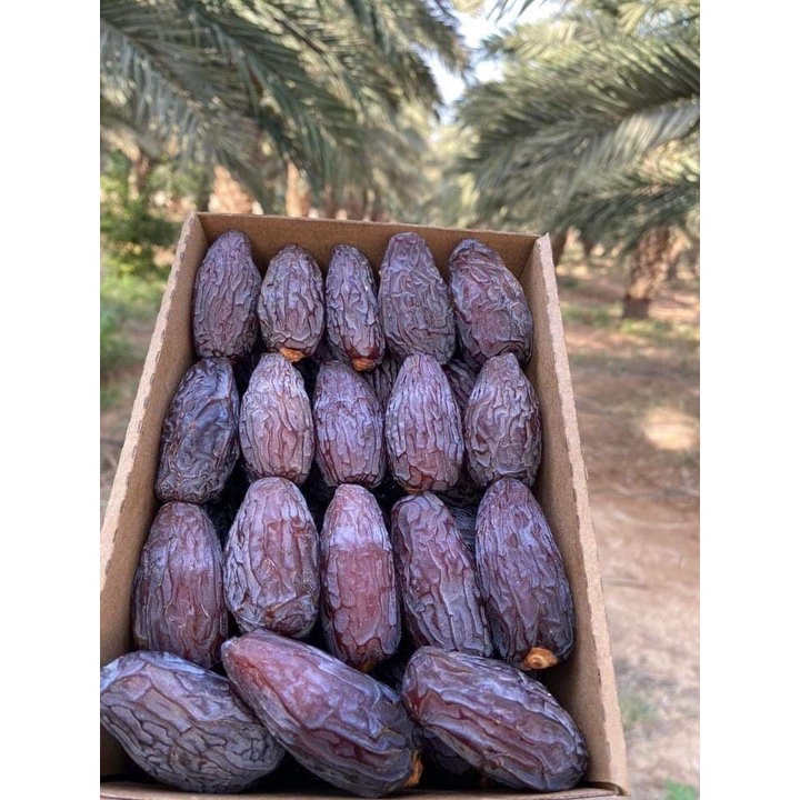 AJWA Kurma Medjool Palestine Medjoul Dates Majdul 1KG | Foodie Hamada ...