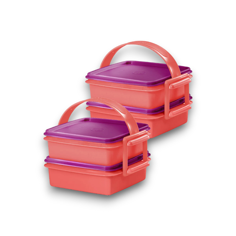 Tupperware Small Goody Box 790ml with Cariolier(2pcs/4pcs) | Shopee ...