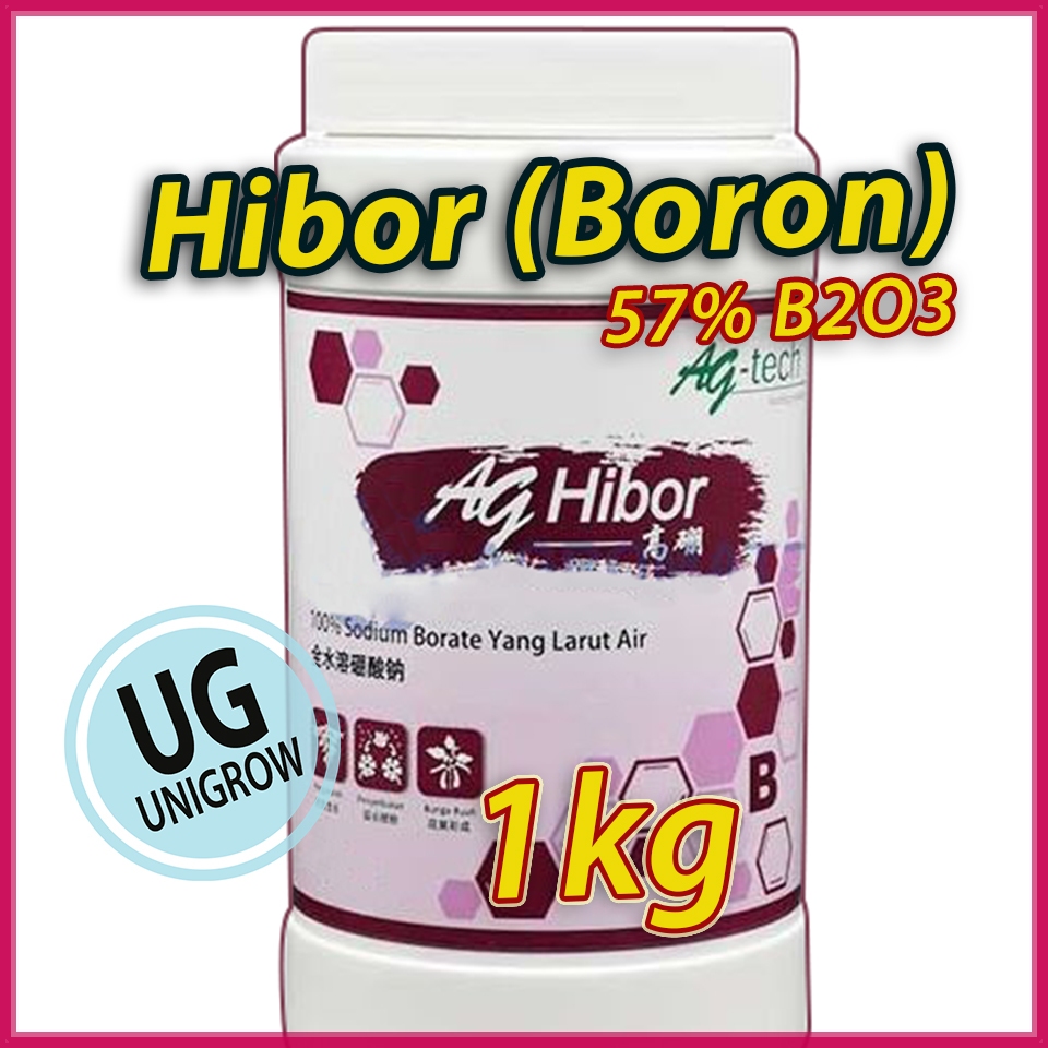 (1kg) Ag Hibor Boron 57% B2O3 Powder Soluble Micronutrient Ag-Tech 高硼肥 | Shopee Malaysia