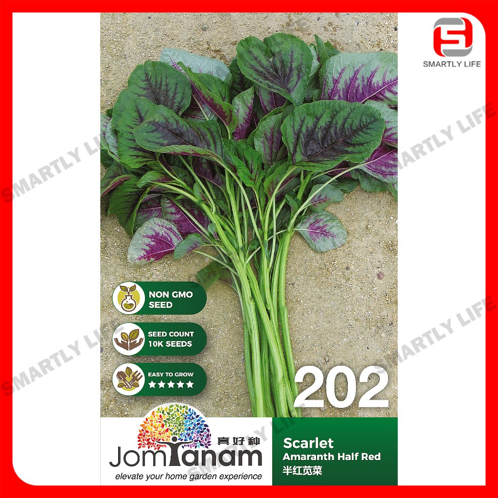 Amaranth Half Red Scarlet Benih Bayam Merah 半红苋菜 Jom Tanam Seeds 种子 JT-202 | Shopee Malaysia