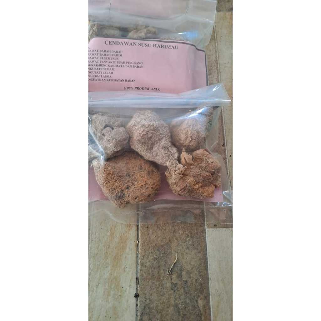 CENDAWAN SUSU RIMAU 100G SEGAR | Shopee Malaysia