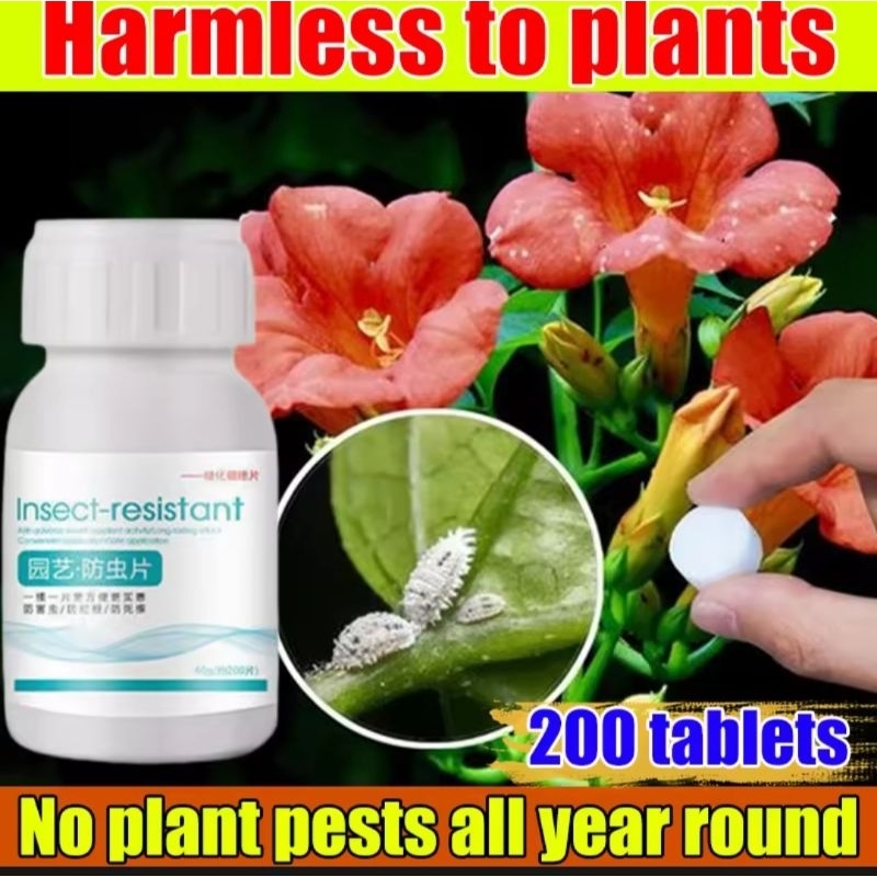 Gardening Insect Resistant 200 Tablets | Shopee Malaysia