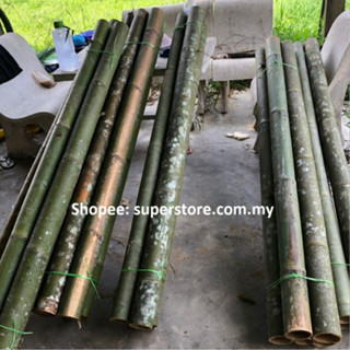 Buluh Belum Belah 6 kaki/Buluh Bulat/Bamboo Stake/Buluh Pancang/Bamboo ...
