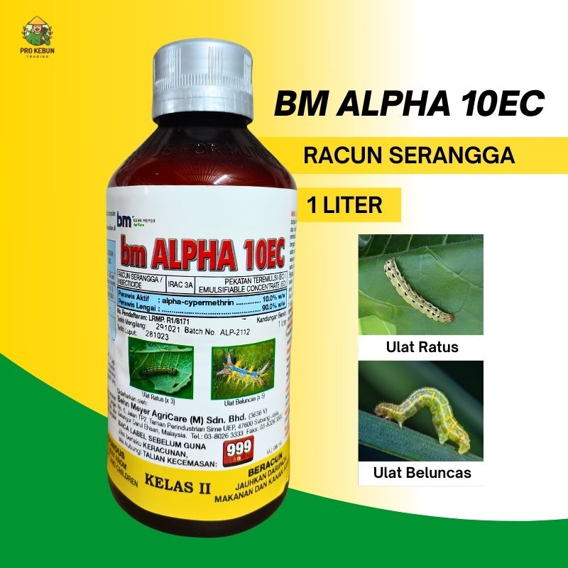 Behn Meyer Alpha 10 EC 1 Liter Insecticide Racun Serangga Alpha Racun Kesing Bong Padi Racun ...