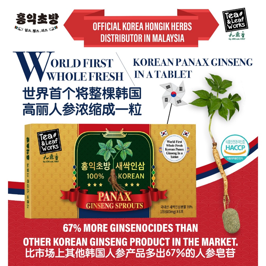 KOREAN PANAX GINSENG 6 tablets | Shopee Malaysia