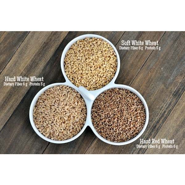 serbuk/biji gandum light wheat grain / grass herbs powder organic ...
