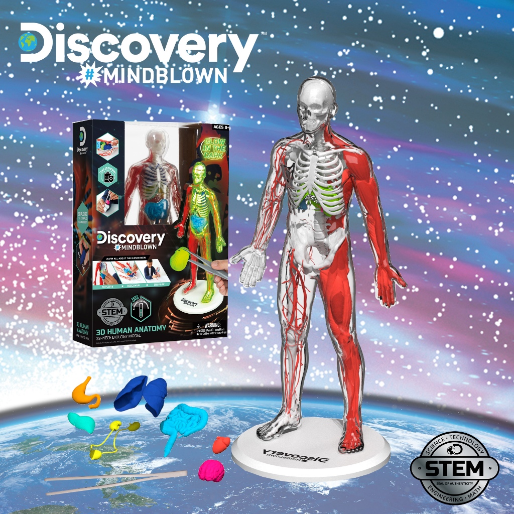 Discovery Mindblown Toy 3D Human Anatomy Kit (1423015831) Educational ...