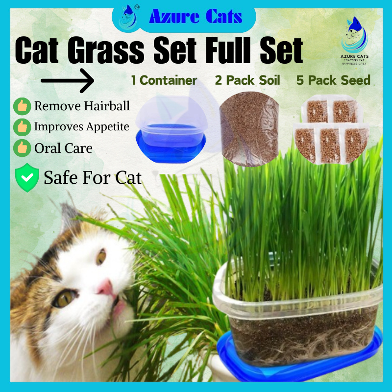 AZURE Cat Grass Set Cat Grass Seed Hairball Solution Hairball Remove ...