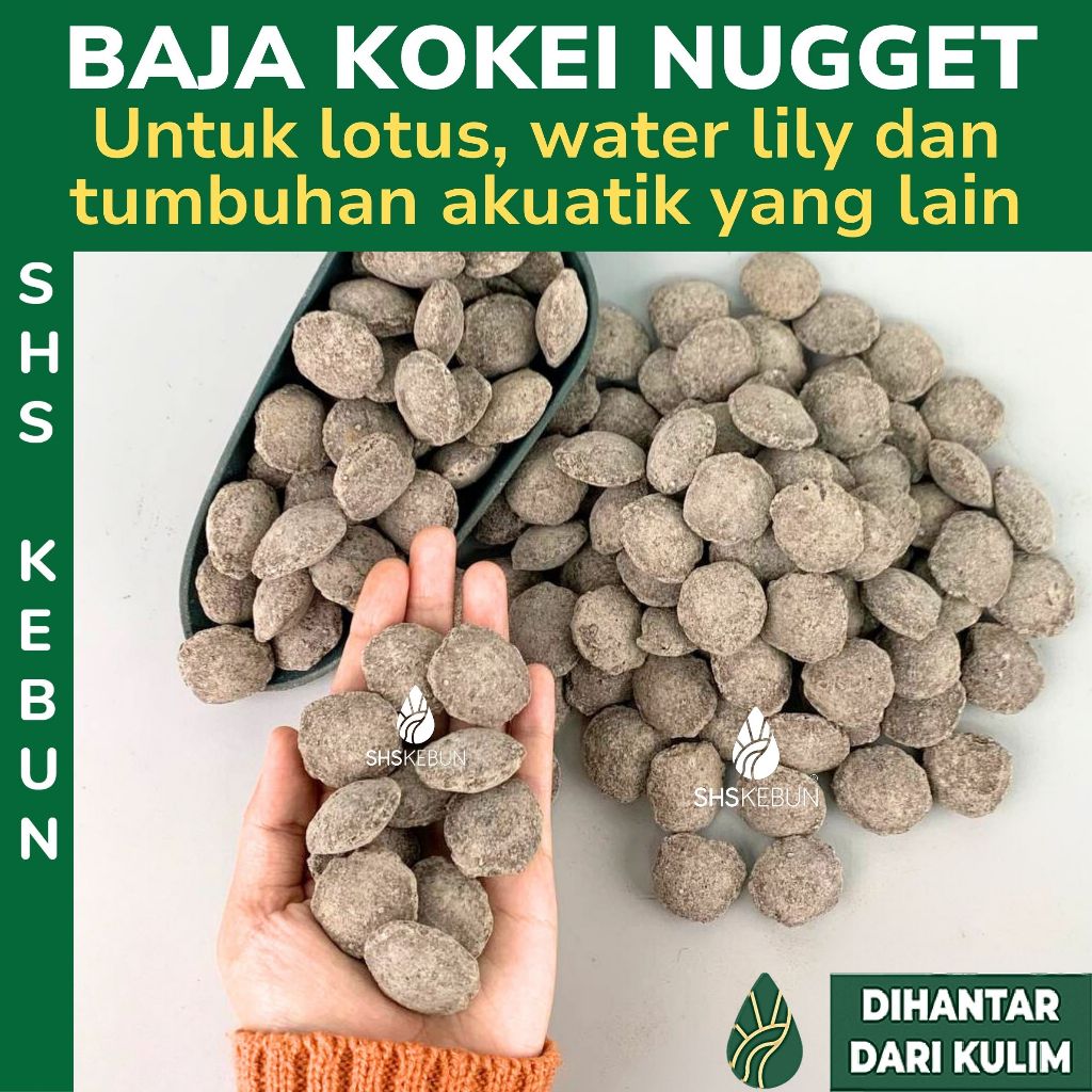 Kokei Nugget Fertilizer For Lotus Water Llily Baja Kokei Nugget Untuk ...