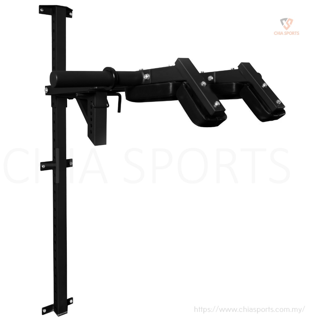 Wall Mounted Hack Squat Machine Leverage Squats Calf Raise Attachment ...