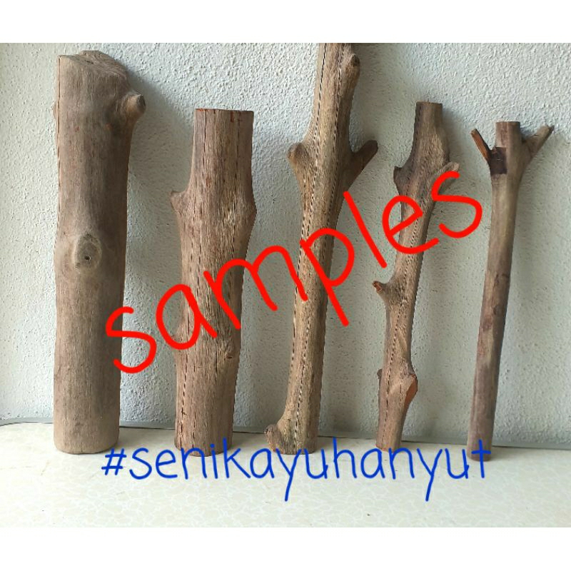 Forest Style Driftwood Kayu Lurus/Bulat | Shopee Malaysia
