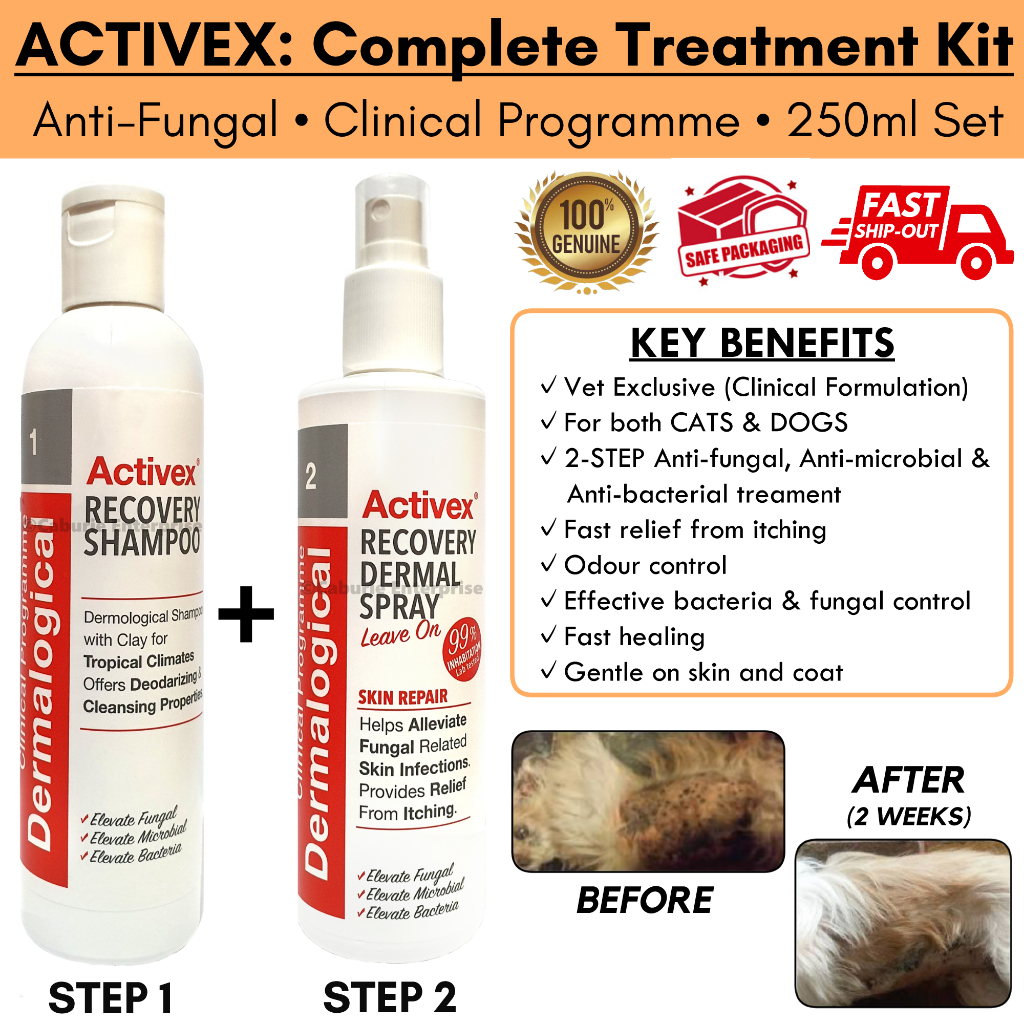 ACTIVEX: Complete Anti-Fungal Treatment Set (250ml) [Recovery Shampoo + Medicated Spray] - For ...