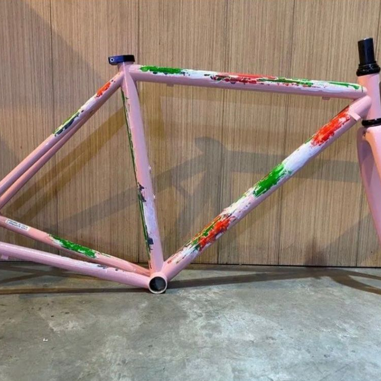 Frameset Dario Pegoretti Steel Handmade Italy Frame Custom Design ...
