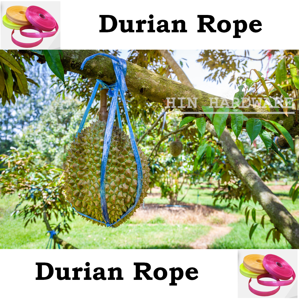 HIN Durian Rope / Tali Ikat Durian 1" x 200m / Tali Ikat Pokok Dahan ...