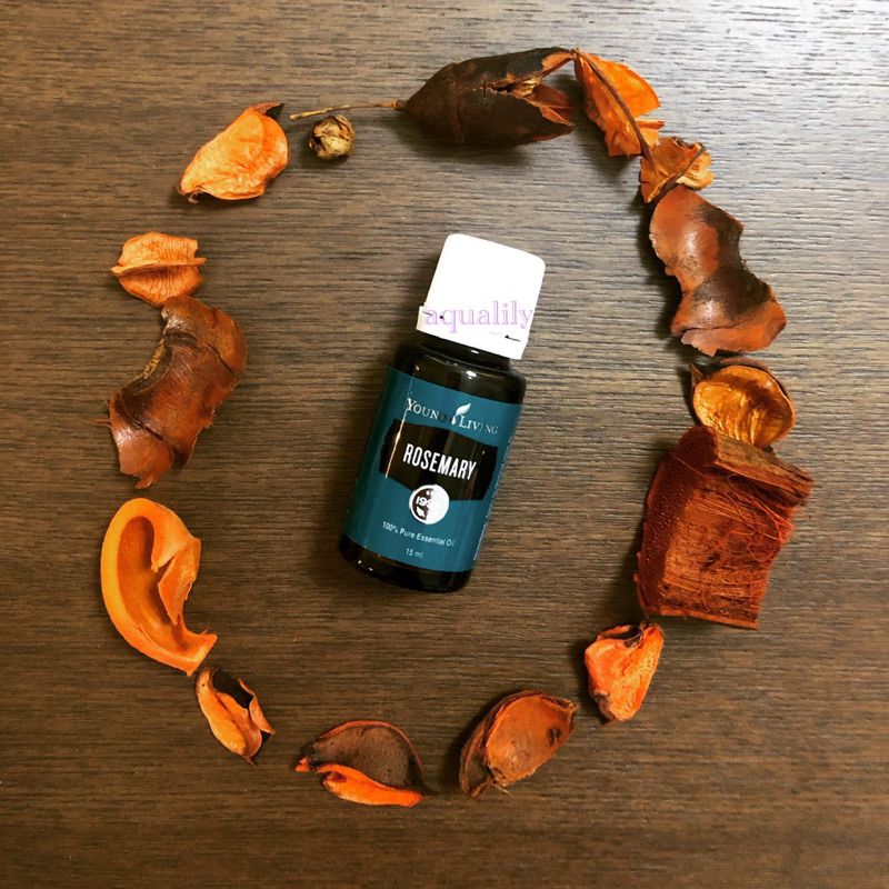 Young Living Rosemary Essential Oil 1ml (Repack) / 2ml (Repack ...