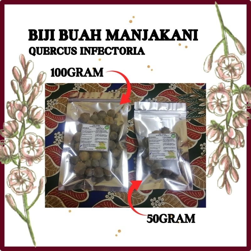 HSK [50g/100g] QUERCUS INFECTORIA | BIJI BUAH MANJAKANI | 100% JAMU ...