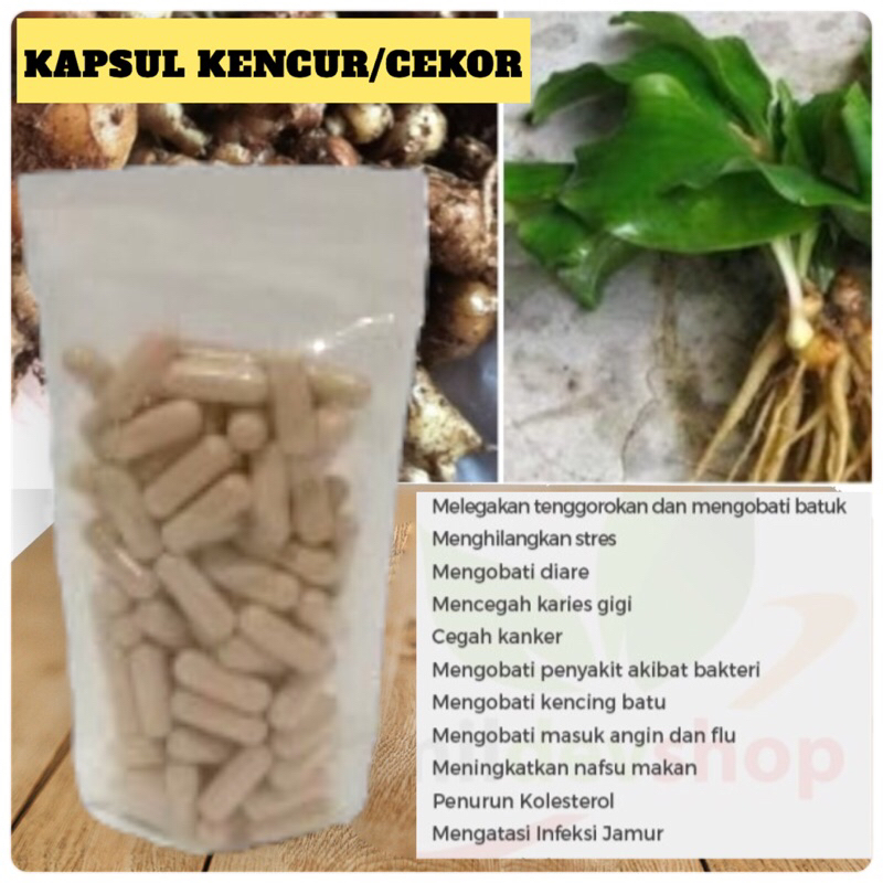 KAPSUL CEKOR/KENCUR (100biji) | Shopee Malaysia