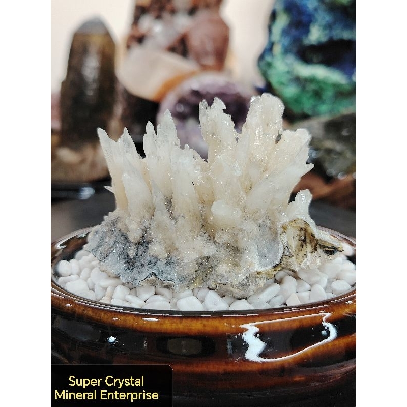 (Local Ready stock/本地现货)天然收藏等级方解石水晶花Natural Collection Calcite Flower ...