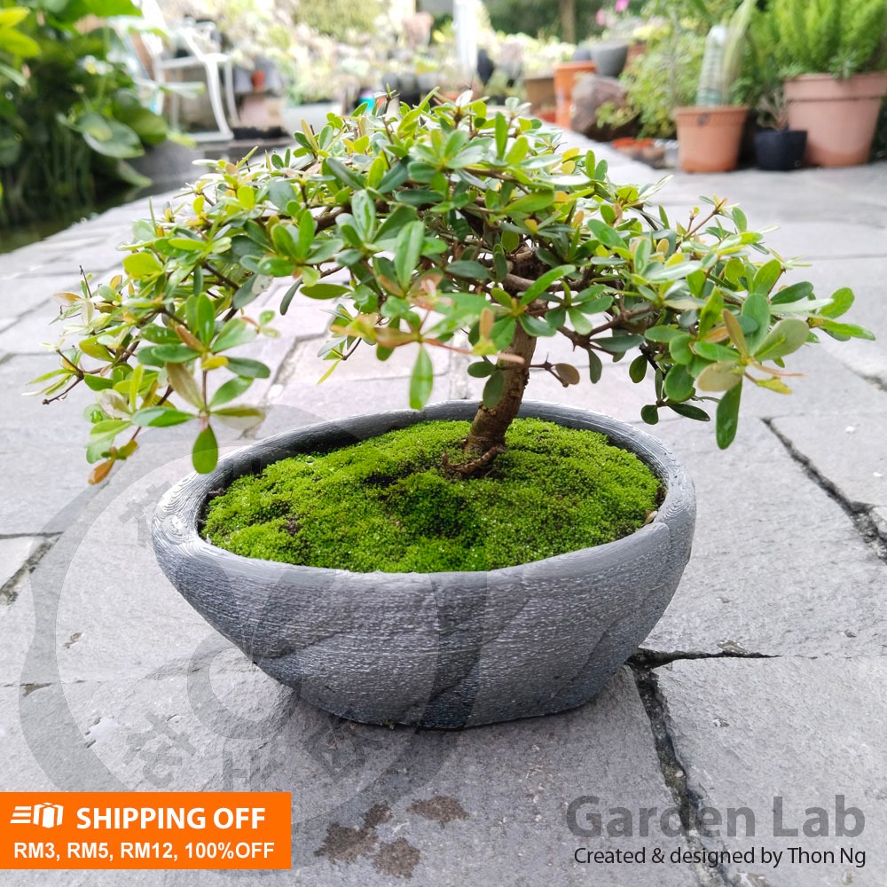 15x11x(6/7cm) Stone v2(Lookalike) , 石景盆 v2(仿石) ,(3DPrinted)Garden lab Pot, Cactus pot, bonsai ...
