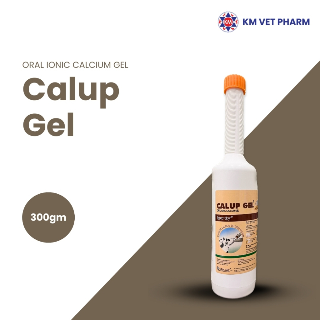 Calup Gel (Oral Ionic Calcium Gel) - 300gm | Shopee Malaysia