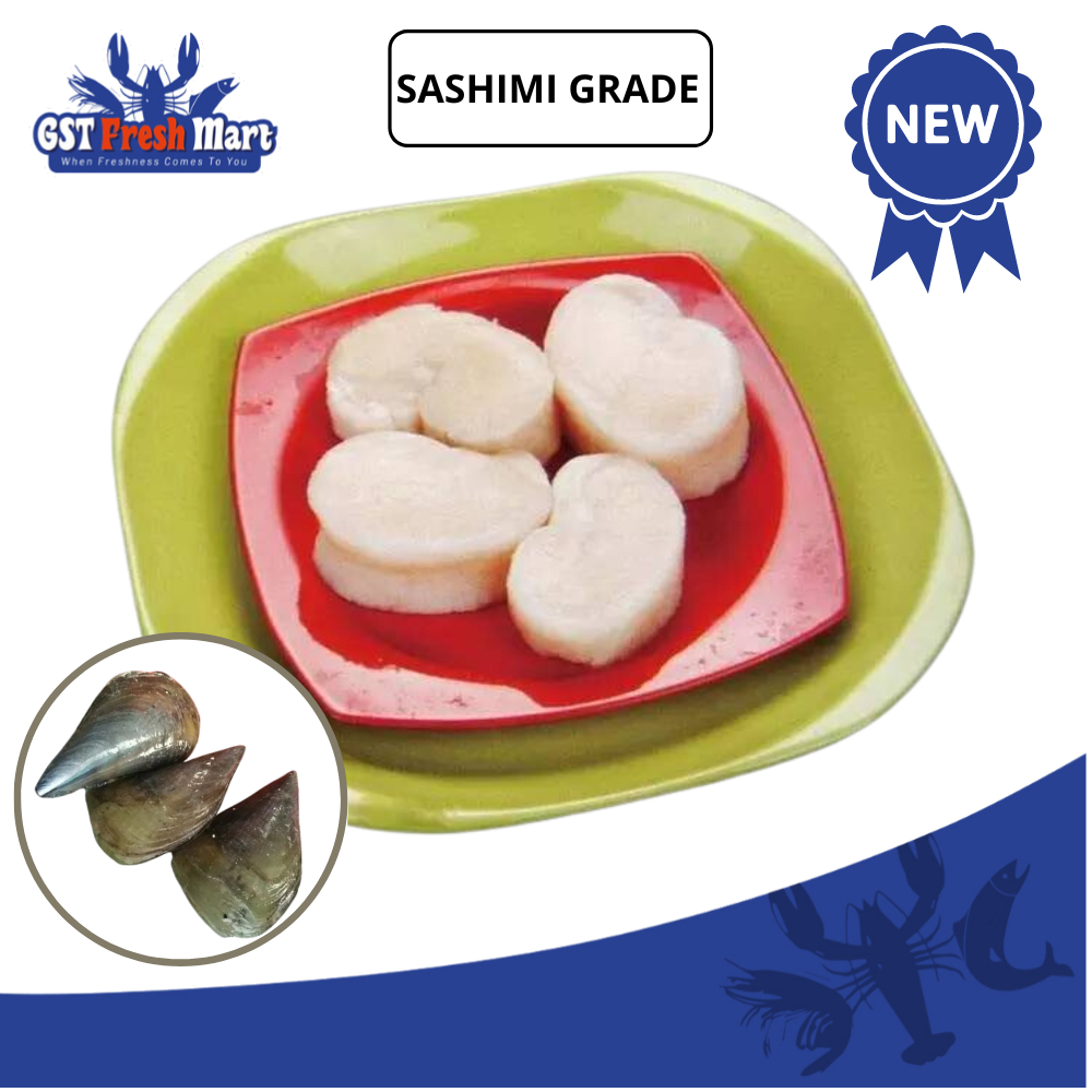 FROZEN SASHIMI GRADE COMB PEN SHELL SCALLOP (6-8 PCS) 500GM/PKT 冷冻(刺身等级 ...