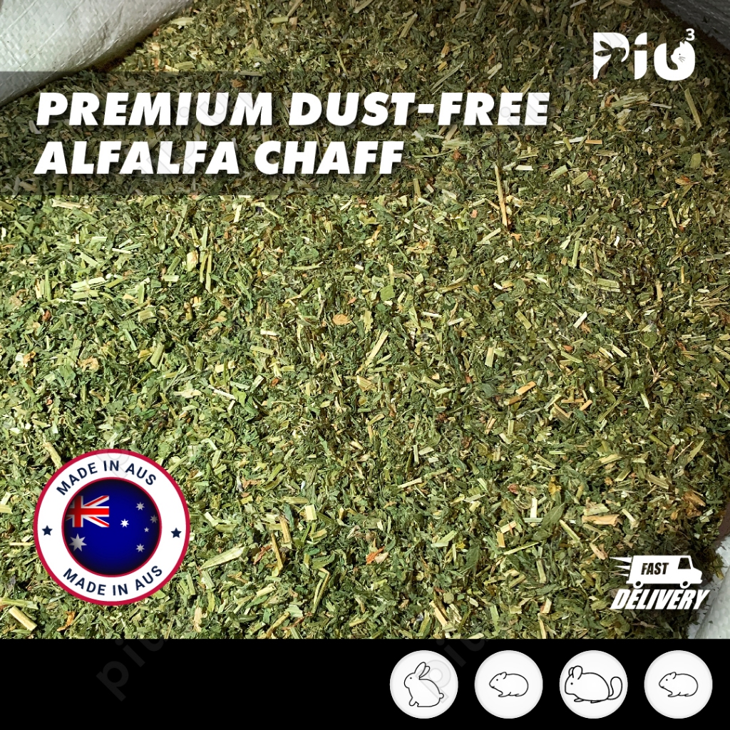 [24HR SHIP] PREMIUM DUST-FREE ALFALFA CHAFF Wheaten Imported Lucerne Hay Rabbit Guinea Pig ...