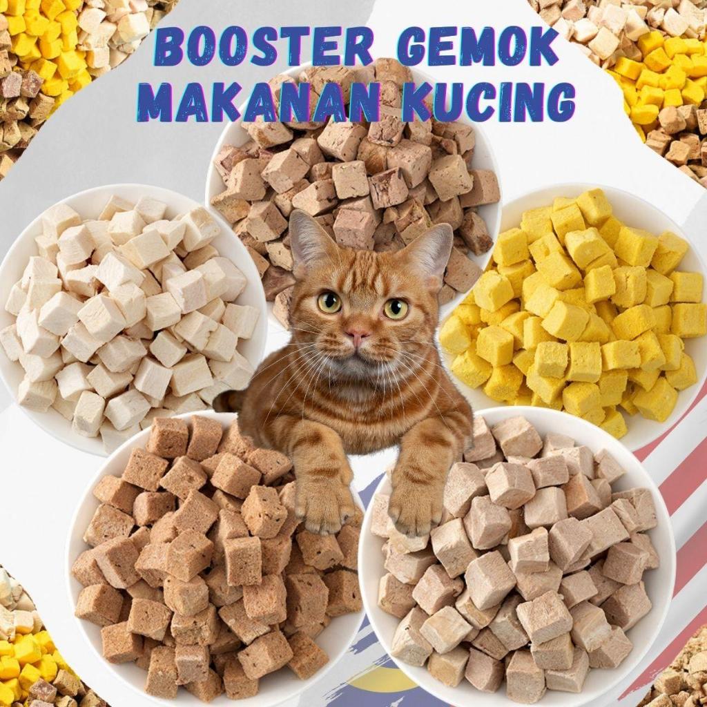 Premium Booster Freeze Dried Cube Gemuk Booster Protein Makanan Kucing ...