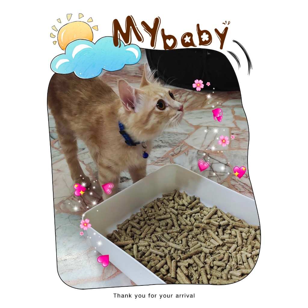 1 KG/200g Pallet Sekam Padi kucing/Cat litter/Small pet bedding (Paddy ...