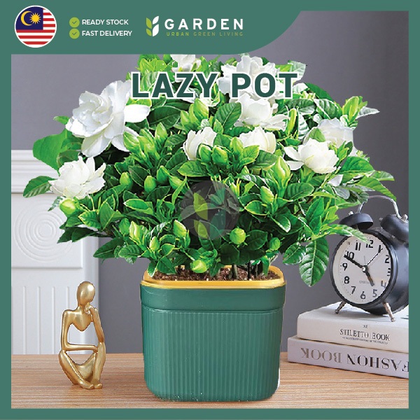 16cm Green Square SMART Auto Lazy Yewfex Self Watering Plastic Flower ...