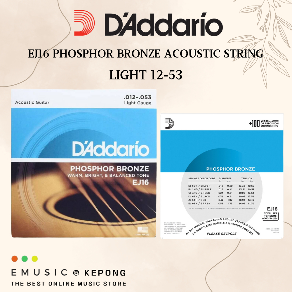 D'Addario EJ16 Phosphor Bronze Acoustic Strings, Light, 12-53 (Daddario ...