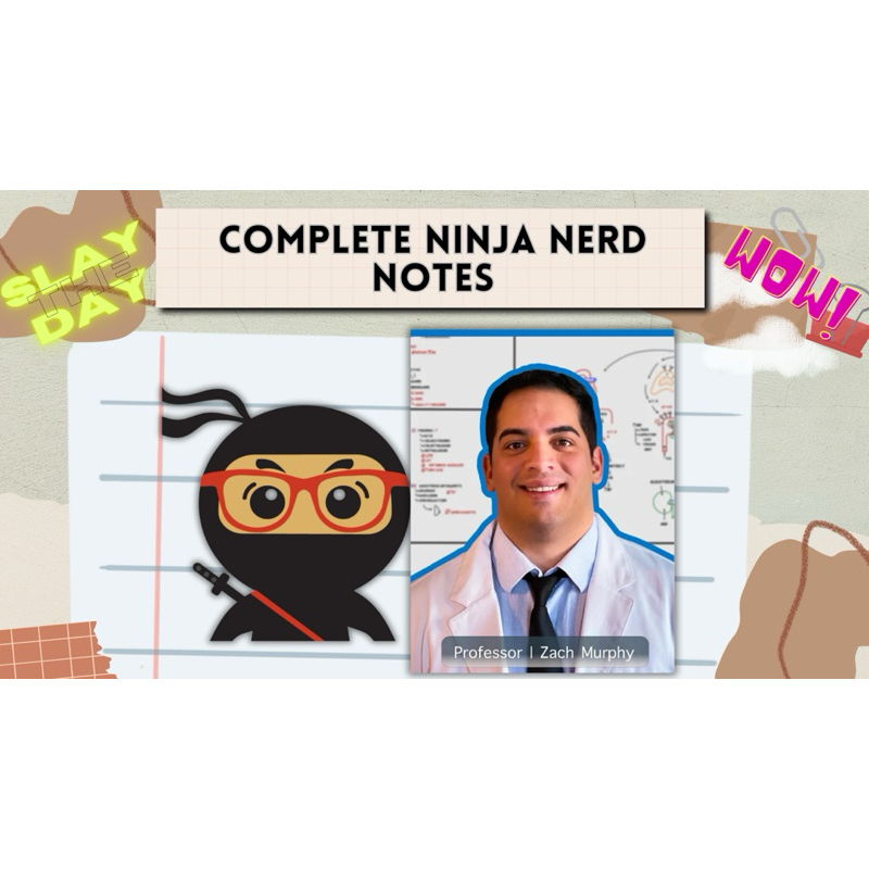 [CHEAPEST] NINJA NERD NOTES 🥷 | COMPLETE 2024 NOTES PDF | MEDICAL NOTES ...