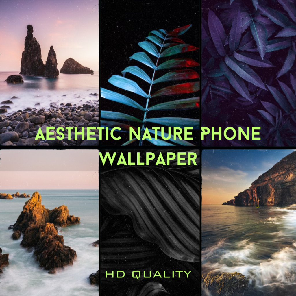 HD Phone Wallpaper - HD Quality - All Phones - Aesthetic Nature ...