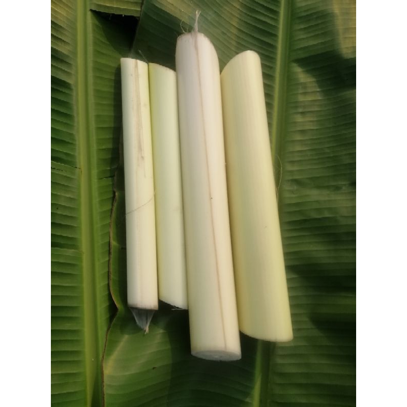 Batang/umbut/rias pisang 1kg | Shopee Malaysia