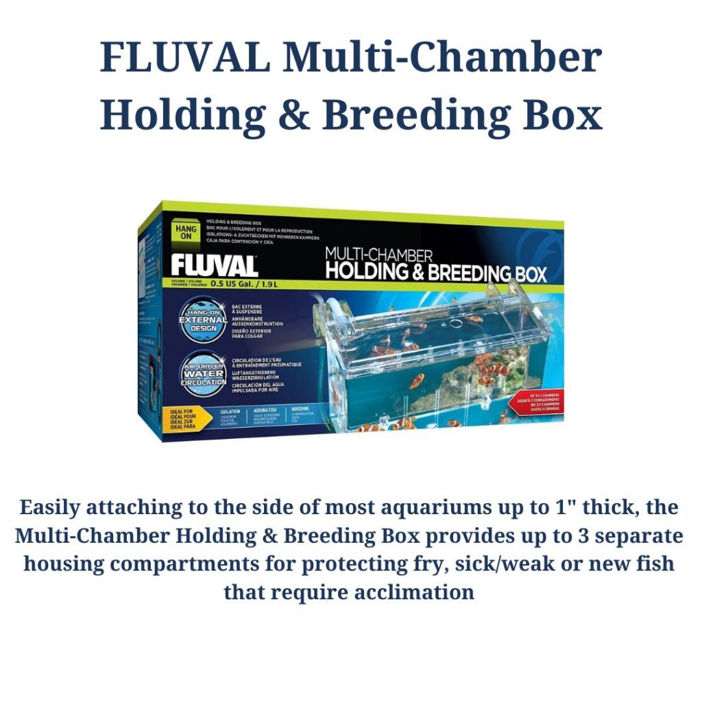 FLUVAL Multi-Chamber Holding & Breeding Box 0.5 US Gal / 1.9L (For ...